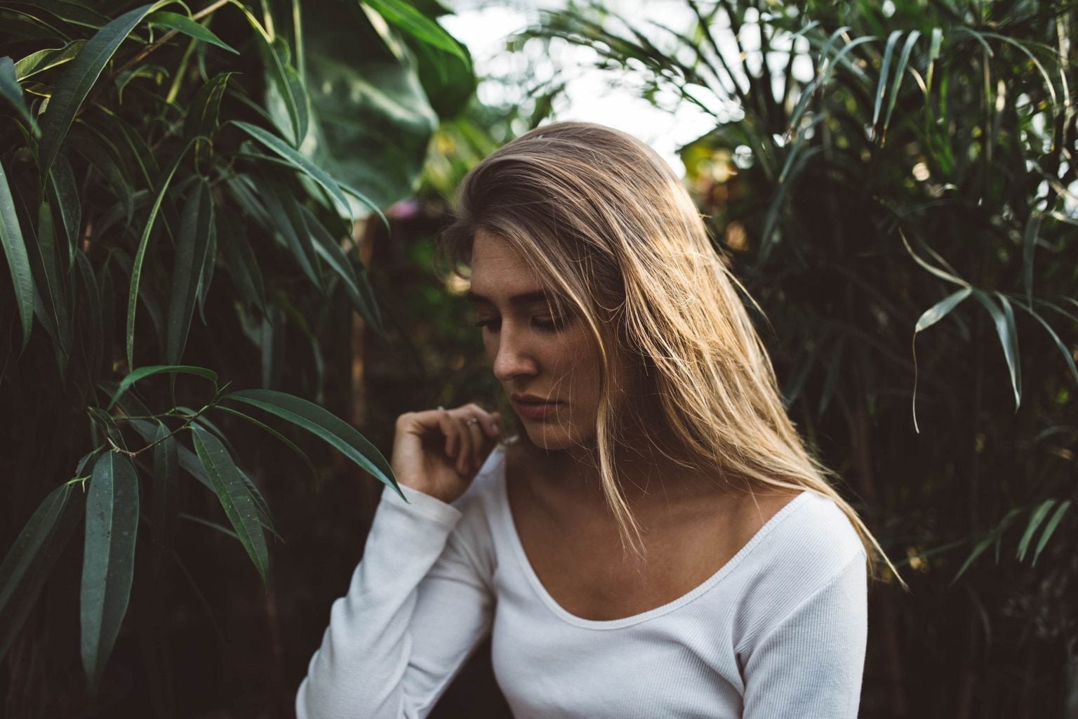 The 3 Stages of the Addiction Cycle - Addiction Group